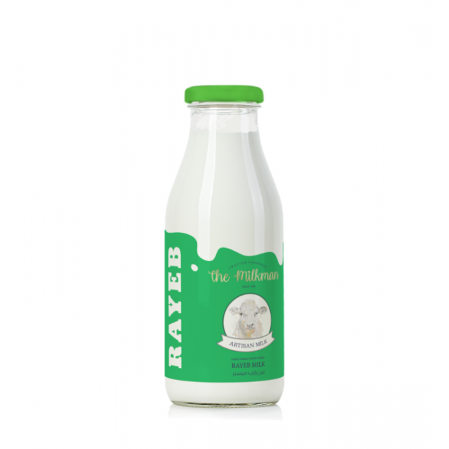 Dina Farms Rayeb Milk 250 ml